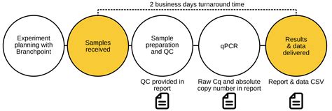 sample processing branchpoint biosciences