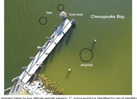 Figure 2 From Potential Applications Of Low Altitude Remote Sensing For