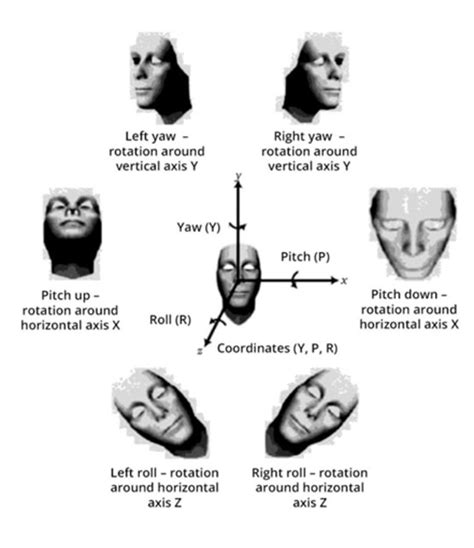Features — Findface Lite 16 Documentation
