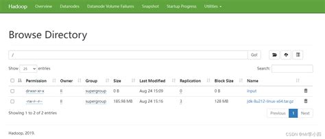 5 hadoop集群操作 hadoop节点格式化hadoop集群 csdn博客