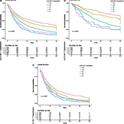 Evaluation Of The Ajcc 8th Edition Staging System For Pathologically Versus Clinically Staged