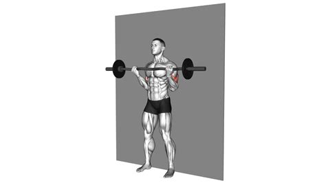 Ez Barbell Strict Curl Video Guide And Tips