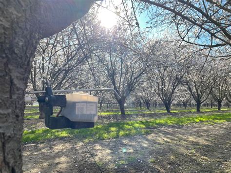 Dominick Niboli Posted On Linkedin