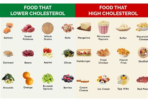 Check Out Ways To Manage Your Cholesterol Level In Changing Season Woman S Era Magazine