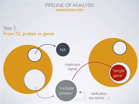 General Pipeline Of Transcriptomics Analysis Ppt