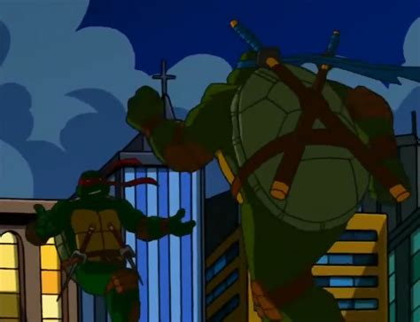 Tmnt 2003 Leo And Raph 2 By Hedwieapotter On Deviantart