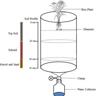 Schematic Diagram Of Soil Column Used In Experiment Download