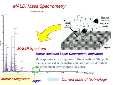 Ppt Maldi Mass Spectrometry Powerpoint Presentation Free Download