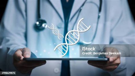 의료 기술 개념 전자 의료 기록 Dna 유전자 가상 화면 인터페이스의 디지털 헬스케어 및 네트워크 연결 의료 기술 및 미래 지향적 개념 Dna에 대한 스톡 사진 및 기타