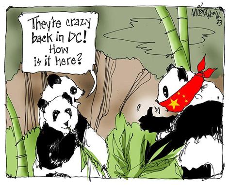 Pandas Returned To China Cartoon Movement
