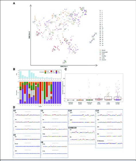 Clustering Analysis Elucidates Profile Representations In Solid Tumors