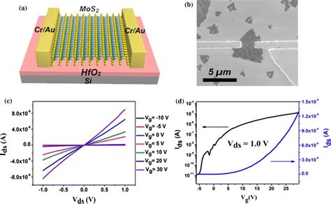 A Schematic Diagram Of MoS2 FET Device On HfO2 Si Substrate The Blue