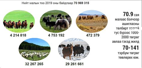 Малын хөлийн татвар жилд 70 141 тэрбум төгрөг төвлөрүүлнэ