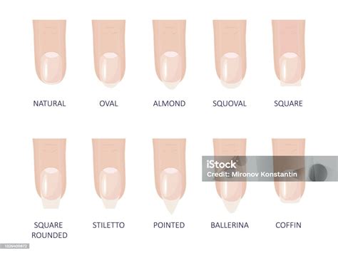매니큐어 가장 인기있는 패션 네일 모양 평면 스타일 벡터 일러스트 는 흰색 배경에 고립 되어 있습니다 손톱에 대한 스톡 벡터 아트 및 기타 이미지 Istock