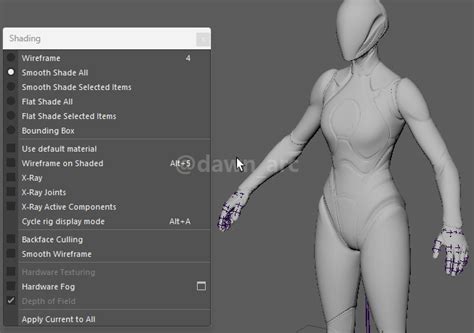 [maya]display Viewport