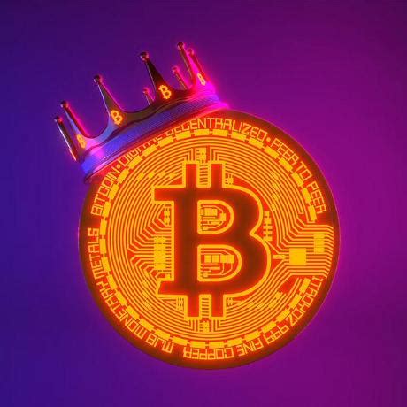 Notion Feeder Ecosystem Directory Gitwallet