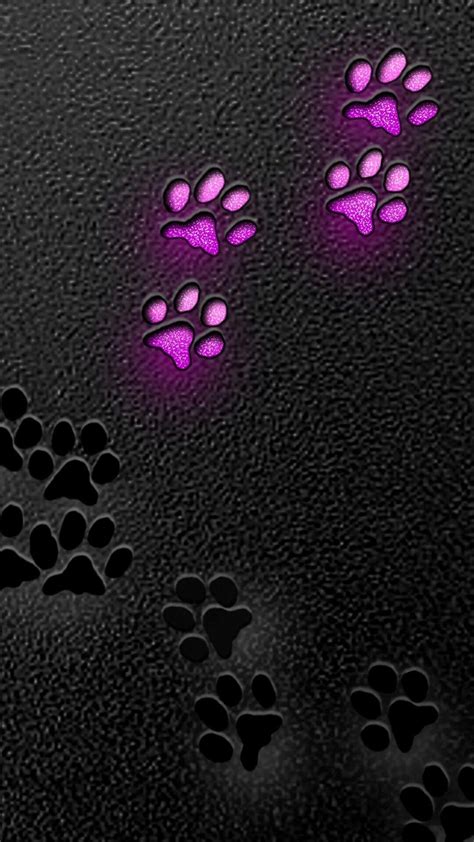 Paw Print Wallpapers Top Free Paw Print Backgrounds Wallpaperaccess