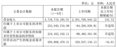 九号公司上半年净利润扭亏为盈，盘中大涨20业绩
