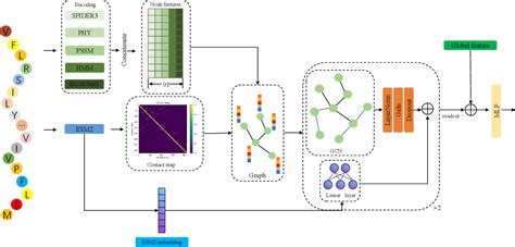 Figure 1 From Enhancing Protein Solubility Prediction Through Pre Trained Language Models And