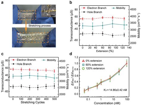 An Ultraflexible And Stretchable Aptameric Graphene Nanosensor For Biomarker Detection And