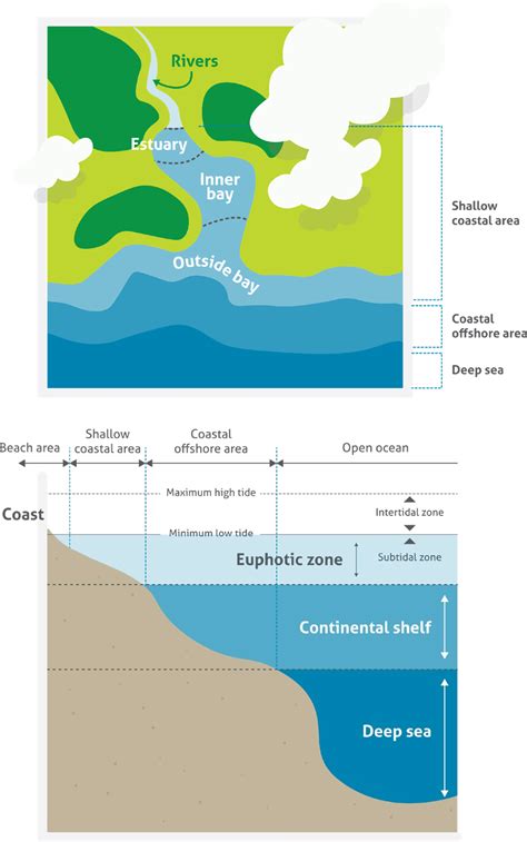figure 1 1 from reducing the ecosystem based carbon footprint of coastal engineering semantic