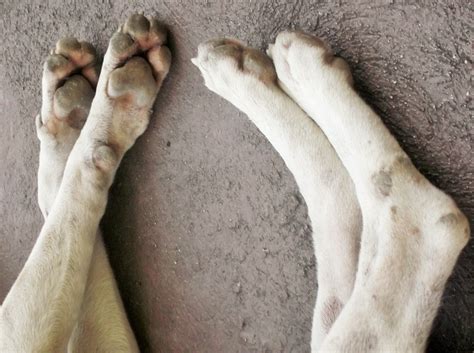 Missing Body Parts Found Album On Imgur