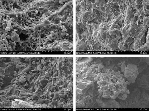 Sem Imaging Magnification ×5000 Of The Standard Top Left Fe Loaded Download Scientific