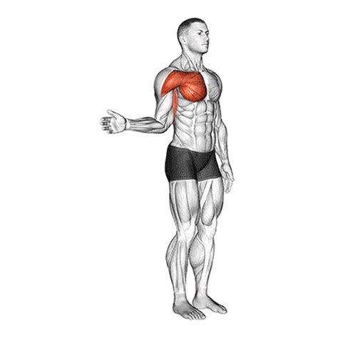 Shoulder Internal Rotation 1000 Exercises Pelank Gym