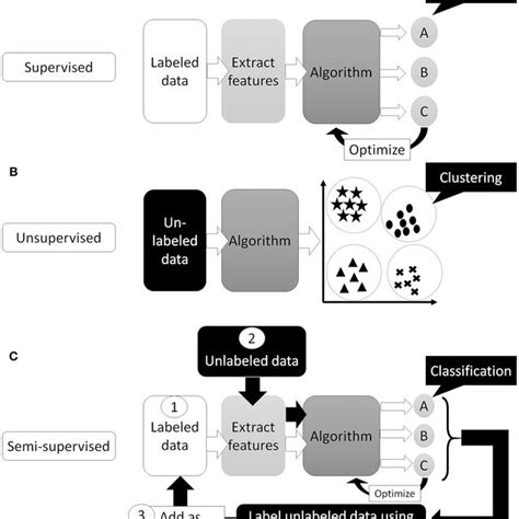 Supervised Or Unsupervised Training A Supervised Training Which Can