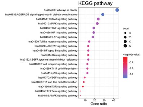 Bubble Diagram Of Kegg Pathway Enrichment Analysis Kegg Kyoto