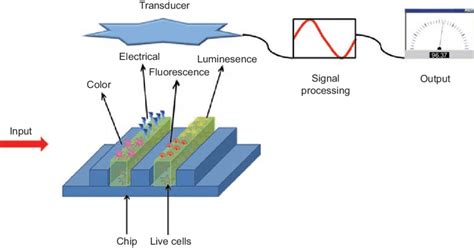 Schematic Description Of A Biochip Based Detection System See Colour