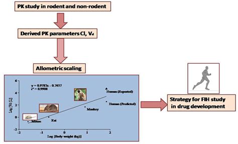 Utility Of Allometric Scaling In Drug Development Download Scientific Diagram