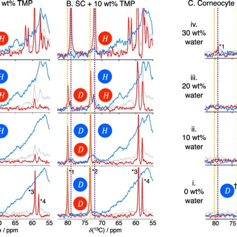 A Chemical Structure Of Tmp With Numbered Segments B 13 C Mas Nmr Download Scientific
