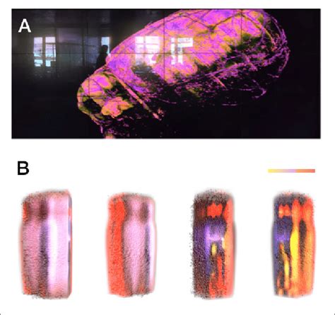 Visualization Of Volumetric Data Using Livre A Visualizing The Download Scientific Diagram