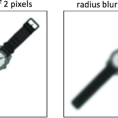 Example Of Each Condition Used For The Preliminary Experiment Download Scientific Diagram