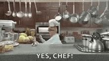 Yes Chef  Yes Chef Discover And Share S