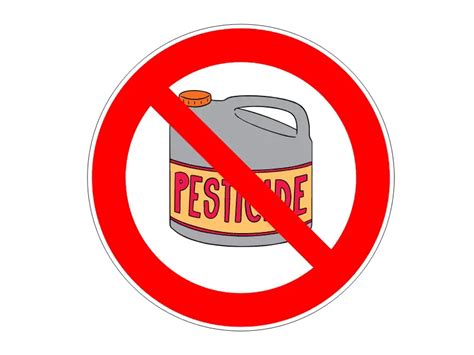 ♻️ Composting Grass Clippings The Complete Guide