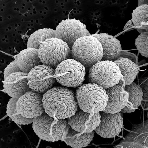 A Better Electron Microscope Material Needed Autodesk Community