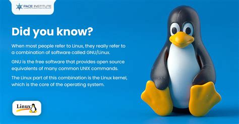 Linux Has Been A Versatile Operating System In The World Of Technology But It Has Not Been Much