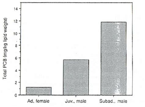 PCB Levels In Mother And Cub Download Scientific Diagram