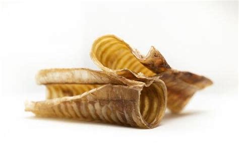 Traqueia Bovina Desidratada Para Cães A Partir De R3492