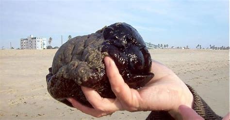 Unusual Slimy Purple Blobs Imgur