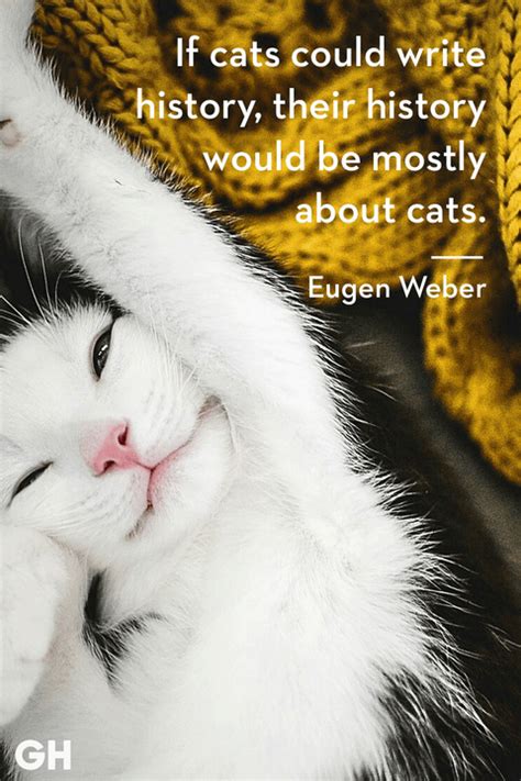 25 Best Cat Quotes That Perfectly Describe Your Kitten Funny And Cute Cat Quotes