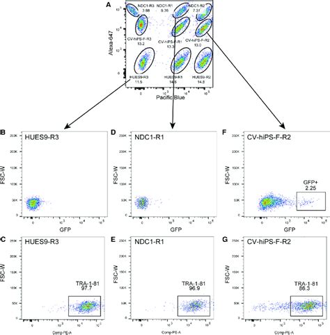 Fluorescent Cell Barcoding Can Distinguish Between High And Low Quality Download Scientific