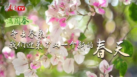 从春天出发，一刻也不耽误！大年初七广东召开全省高质量发展大会荔枝网新闻