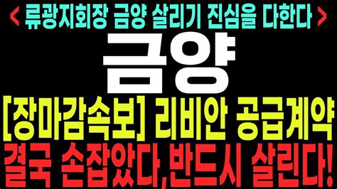 🔴 금양 긴급 장마감속보 류광지회장 금양살리기 진심을 다한다 반드시 살린다 美 리비안 드디어 터졌다 🔴 결국
