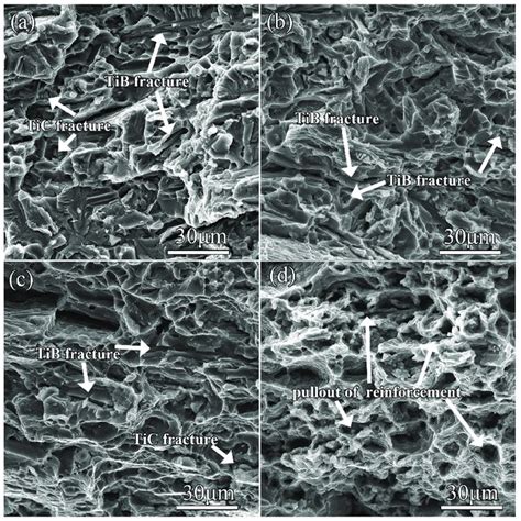 Fracture Surfaces Of As Forged 5 Vol Tibw Ticpti Composite Download Scientific Diagram