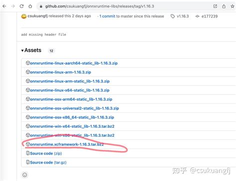 手把手教你如何下载 Onnxruntime 静态库 知乎