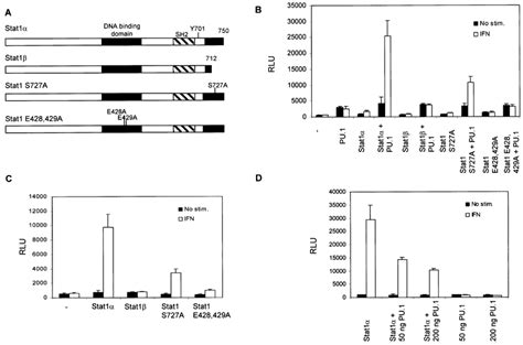 Transactivation Domain And Dna Binding Domain Of Stat1 Are Required For Download Scientific