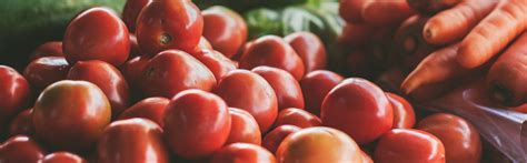 ΦΥΤΙΚΗ ΠΑΡΑΓΩΓΗ